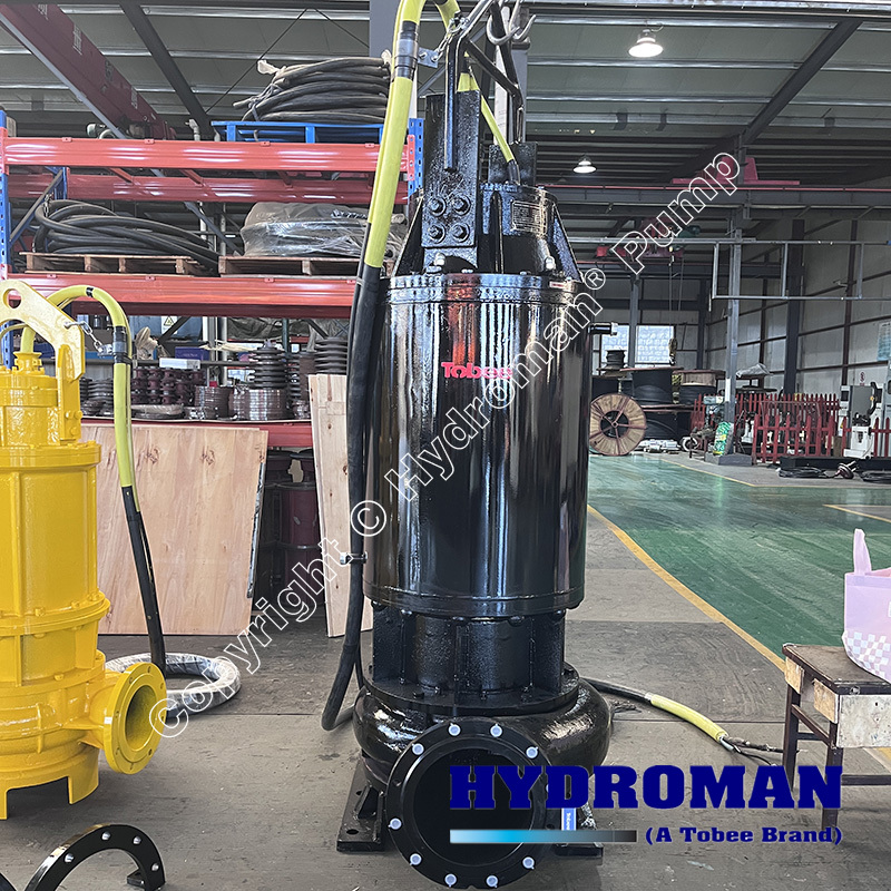 Hydroman Electric Reliable Slurry Dredge Pump for Israel Wastewater ...